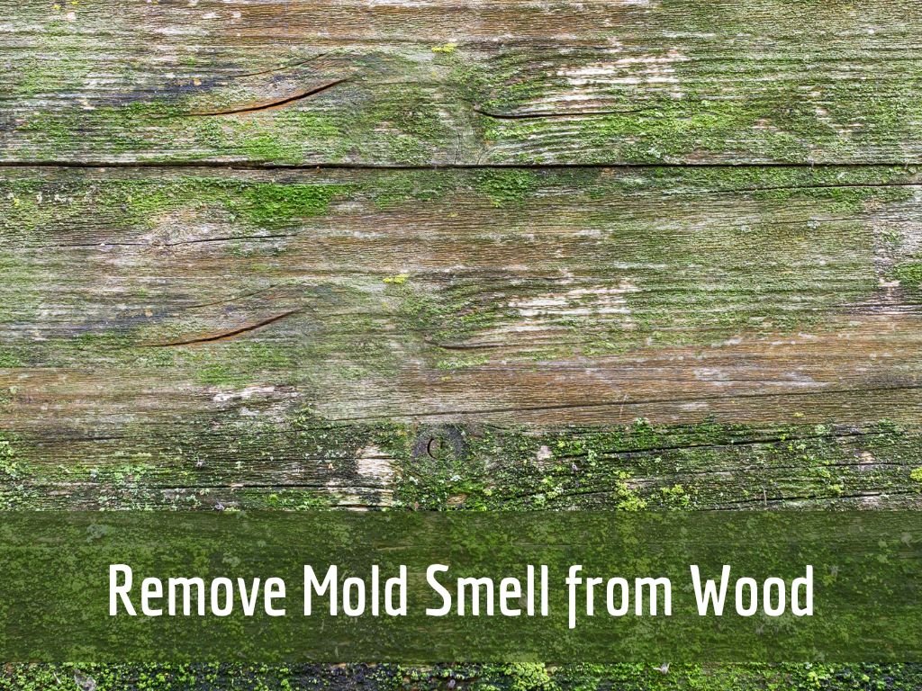 How to Remove Mold Smell from Wood - A Guide to Freshen Things Up